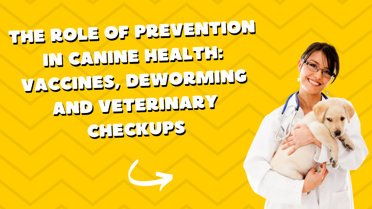 The Role of Prevention in Canine Health: Vaccines, Deworming and ...